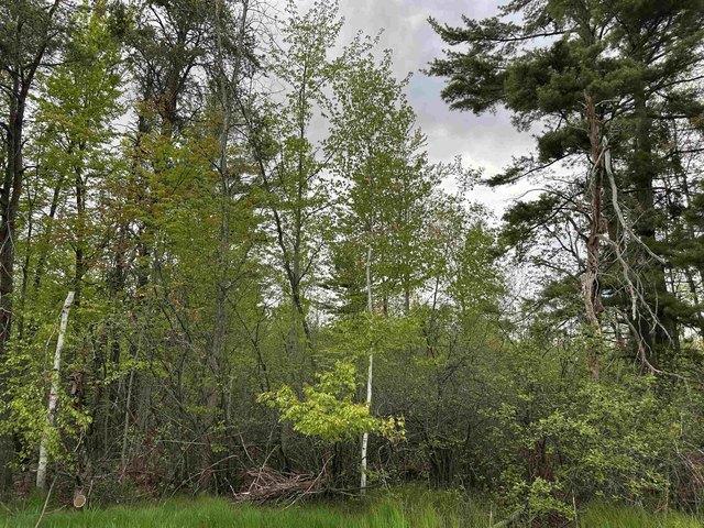 McGraw St, Peshtigo, WI 54157