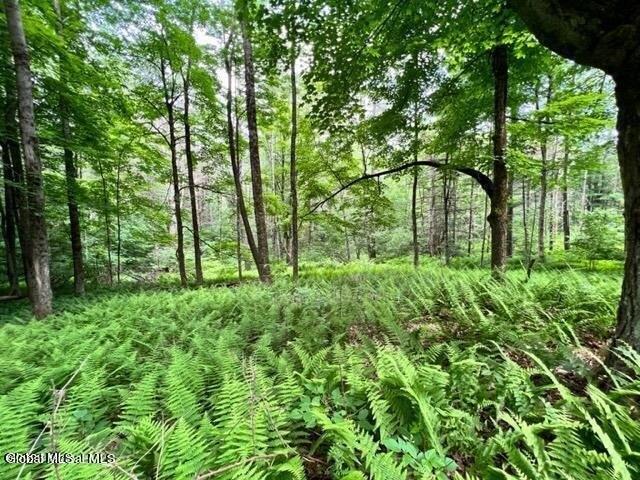 McGregor Rd Lot 2, Gloversville, NY 12078