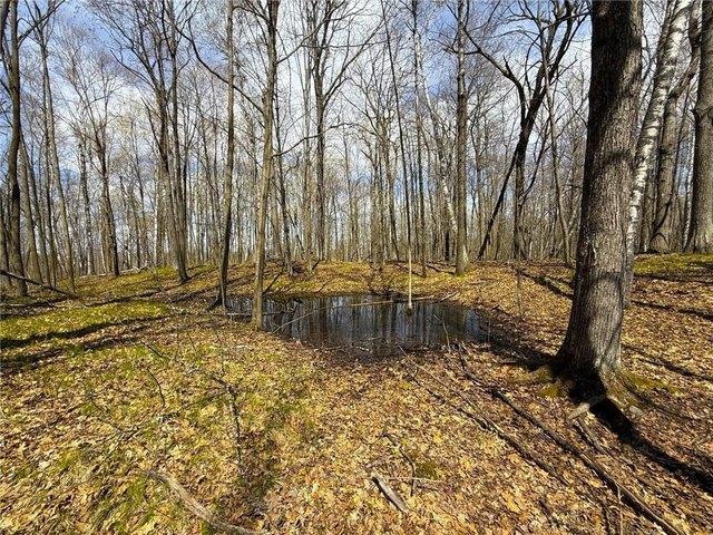 McGrew Rd, Isle, MN 56342