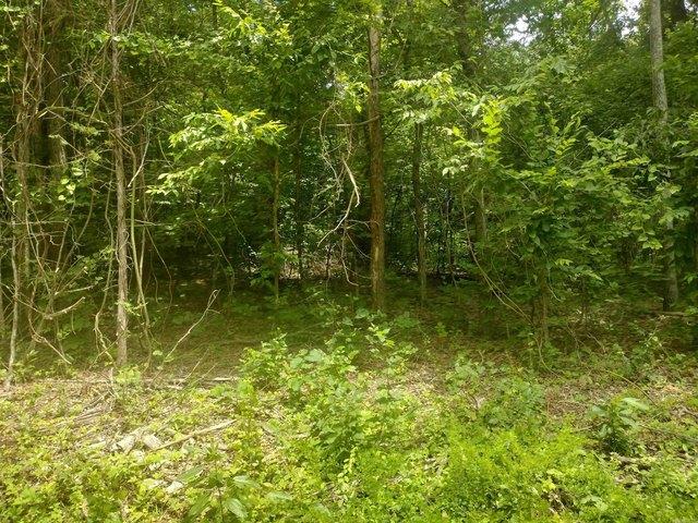 McItire Ln, Mountain View, AR 72560