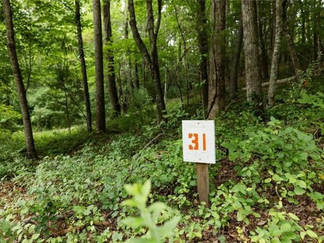 McIntosh Dr, Lowgap, NC 27024
