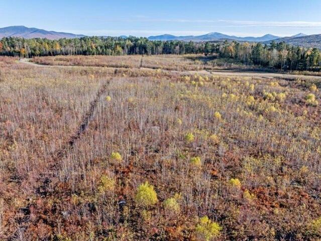Mcintyre Rd Lot,dalton, Plot For Sale