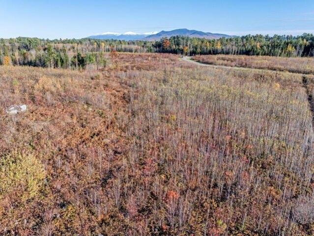 Mcintyre Rd Lot,dalton, Plot For Sale