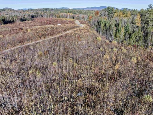 Mcintyre Rd Lot,dalton, Plot For Sale