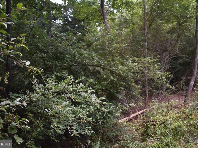 Mckees Gap Lot #7