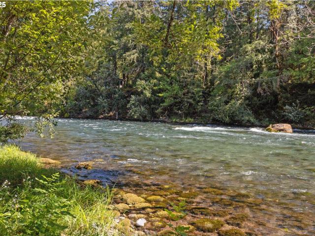 McKenzie River DR # 1800