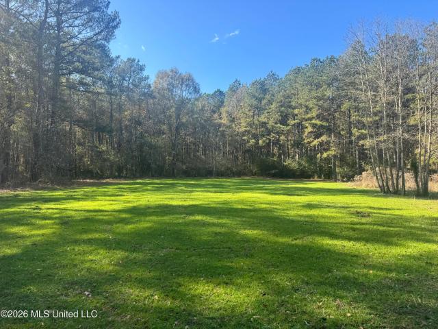Mckenzie Road, Tylertown, MS 39667
