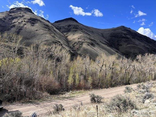 McKim Creek Rd, Salmon, ID 83467