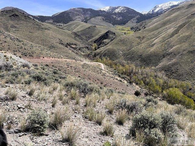 McKim Creek Rd, Salmon, ID 83467