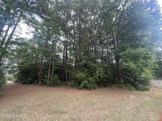 McLamb St, Roseboro, NC 28382