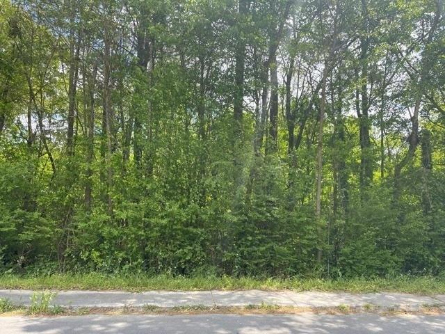 McLemore St, LaFayette, GA 30728