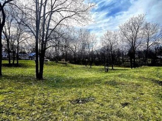 McPherson St, Stanton, MI 48888