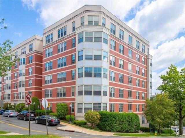 Mamaroneck Ave Apt,white Plains, Condo For Sale