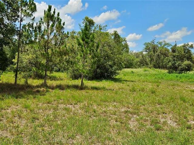 Mammoth Grove Rd Lake, Wales, FL 33898 | MLS #P4935 | Compass