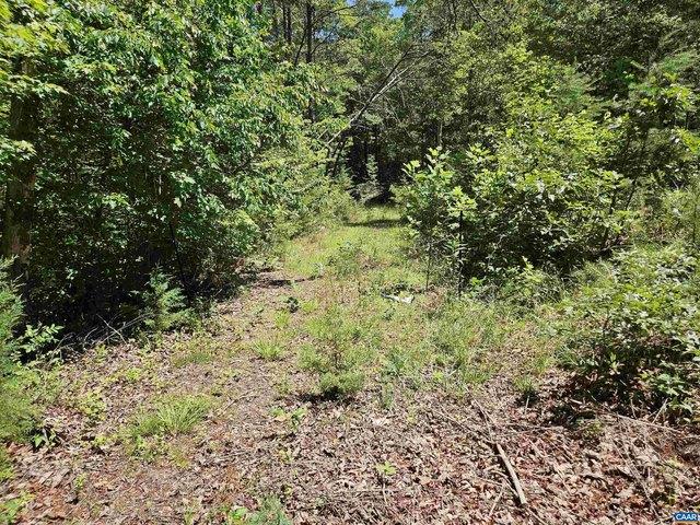 Manteo Rd Lot 2, Buckingham, VA 23921