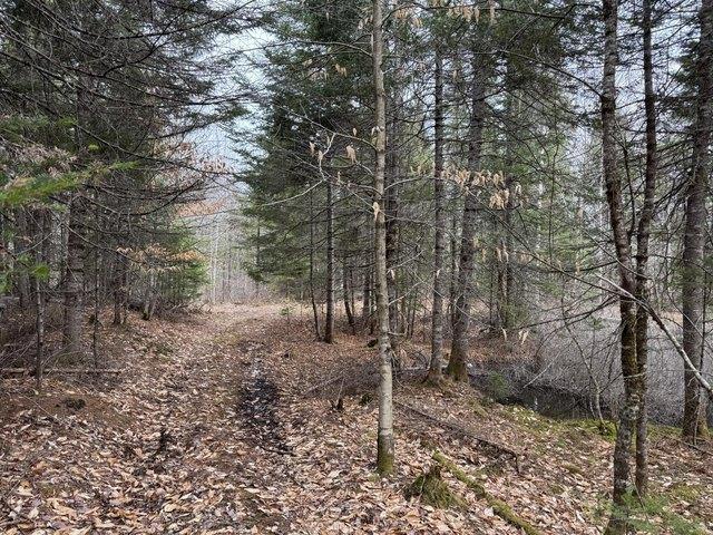 Mantor School House Rd, Parkman, ME 04443
