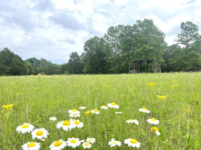 Manus Rd, Murfreesboro, TN 37127