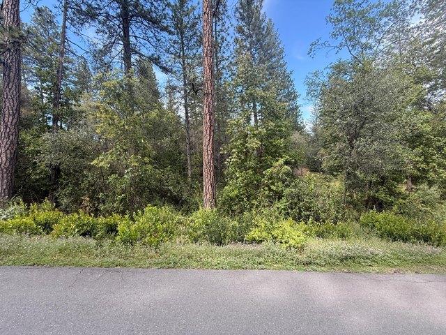 Manzanita Dr, Sutter Creek, CA 95685
