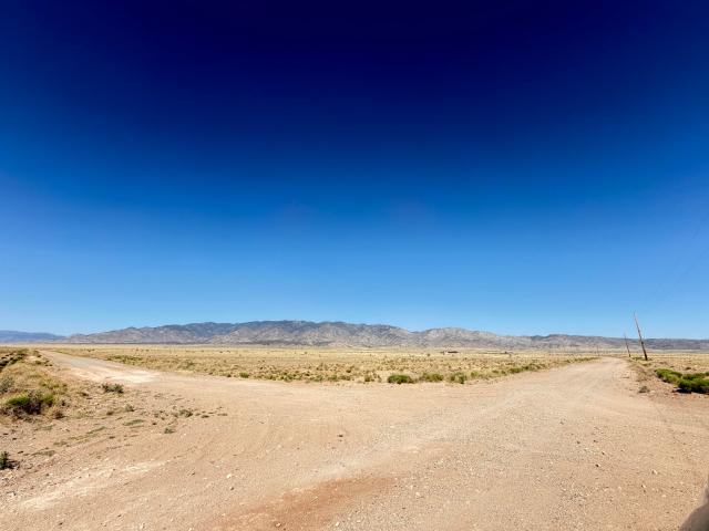 Manzanita Drive