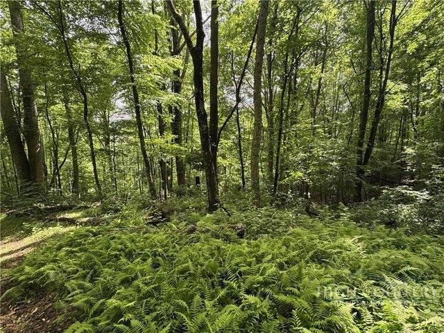 Man O War S Lot 62, Vilas, NC 28692