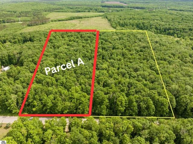 Mancelona Rd Parcel A, Mancelona, MI 49659
