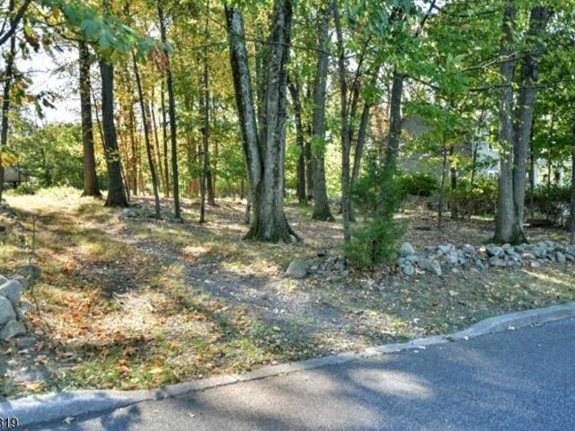 Manchester Ave, North Haledon, Plot For Sale