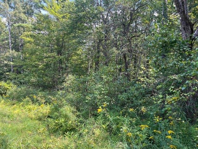 Manchester Dr, Lebanon, NH 03766