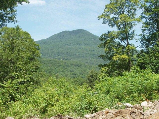 Manchester VT 05255 LS103126653
