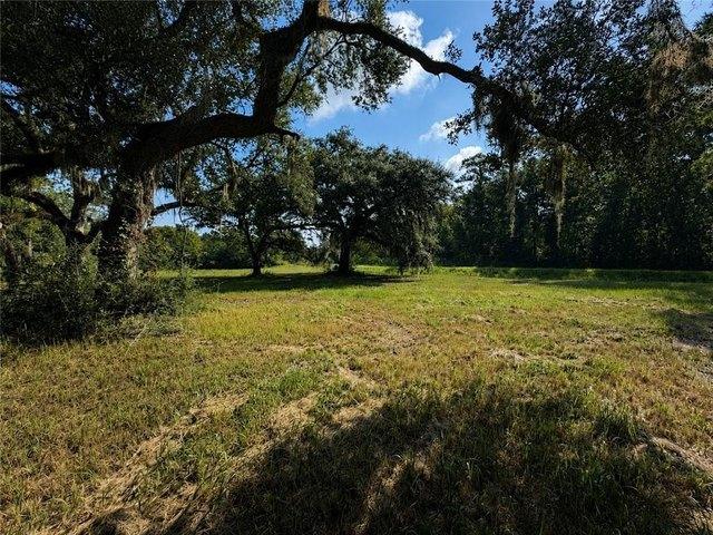 Mandane Dr Lot A, Lacombe, LA 70445