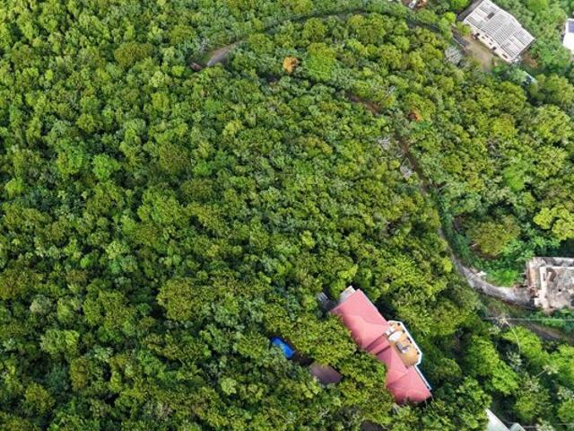 Mandahl Gns, Saint Thomas, Plot For Sale
