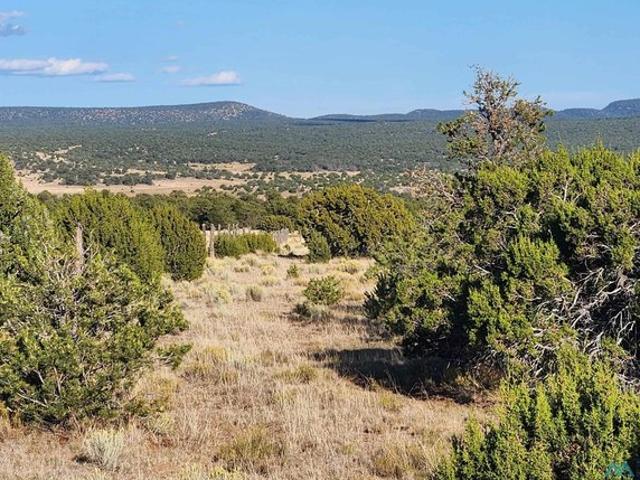 Mangas Rd, Datil, NM 87821