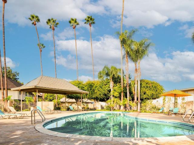Mango Tree 1 Bedroom Apartment for Rent at 2002 E Santa Clara Ave, Santa Ana, CA 92705 Cabrillo Park