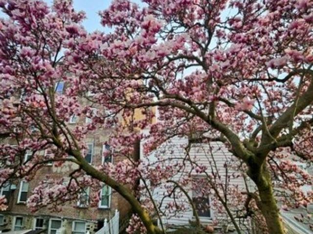 Manhattan Ave, Jersey City, Home For Sale