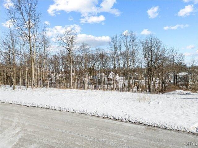 Manlius NY 13104 LS91676610