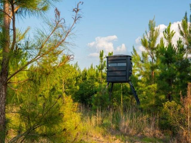 Mann Rd Unit 2, Arabi, GA 31712