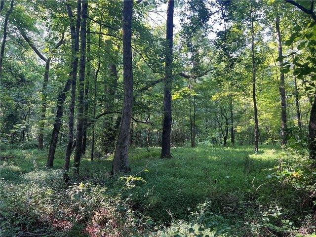 Mac Garner Rd, Temple, GA 30179