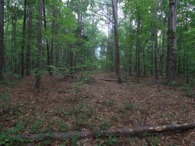 Macdonald Rd, Scottsburg, VA 24589