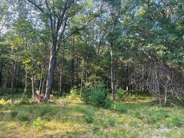 Mackenzie Rd, Oscoda, MI 48750