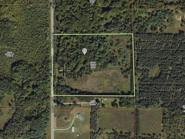 Mackinaw Trl, Leroy, MI 49655