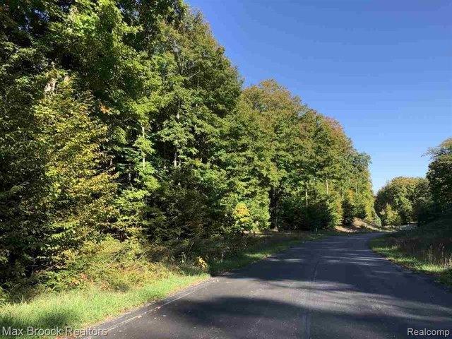 Mackinaw Rdg, Kasson Township, MI 49630