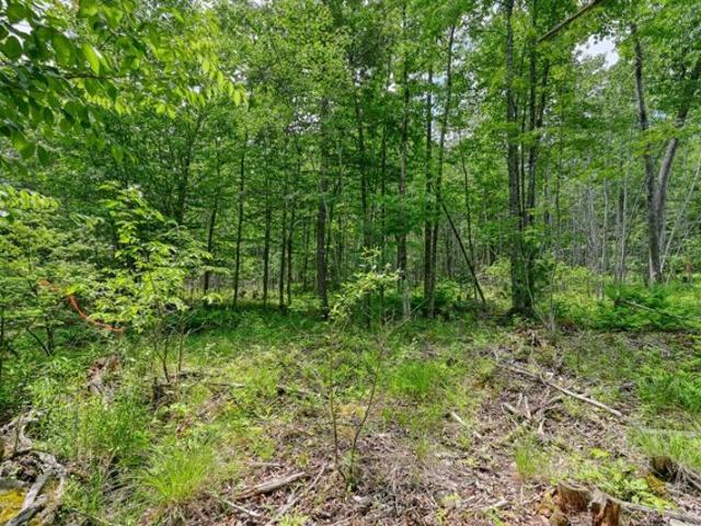 Macomber Rd, Readfield, Plot For Sale