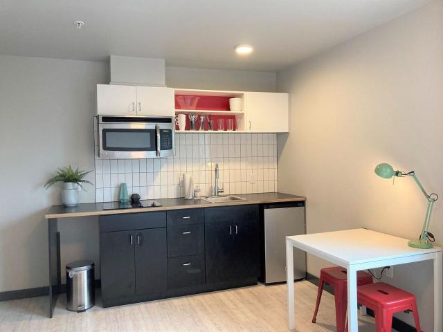Mad Flats Studio Apartment for Rent at 1523 E Madison St, Seattle, WA 98122 Minor
