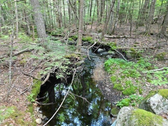 Madagascal Pond Rd Lot, Burlington, Plot For Sale