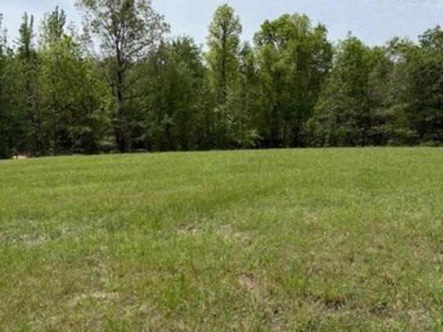 Maddox Ct, Arkadelphia, AR 71923