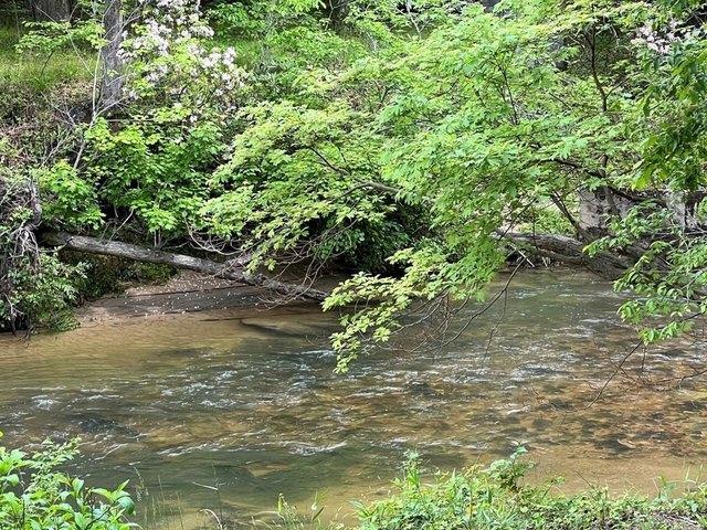 Madeline Way Lot 52, Blairsville, GA 30512