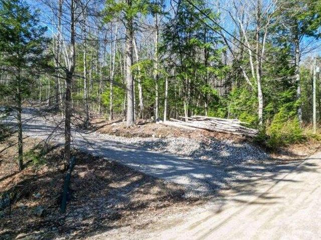 Madison NH 03849 LS103101498