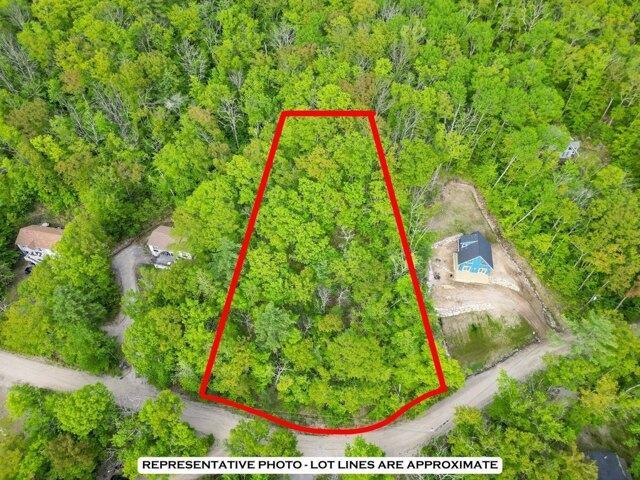 Madison NH 03849 102561077