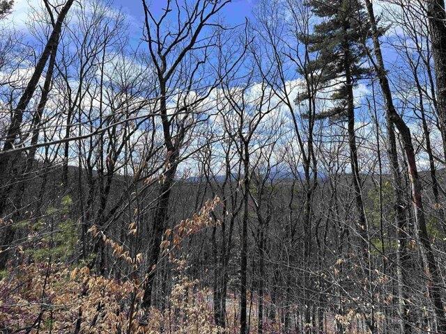 Madison NH 03849 104607717