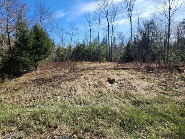 Madison Rd, Norridgewock, Plot For Sale