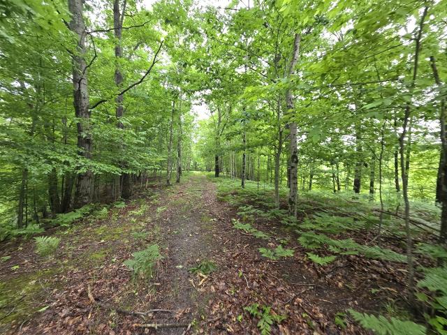 Madison Road